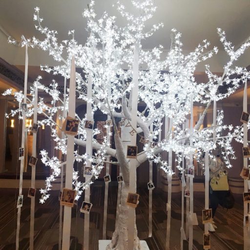 The Wishing Tree | Activities for Seniors