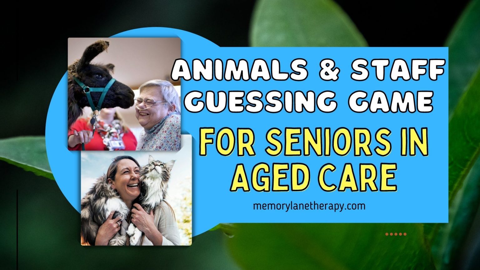 Animals & Staff Guessing Game for Seniors in Aged Care