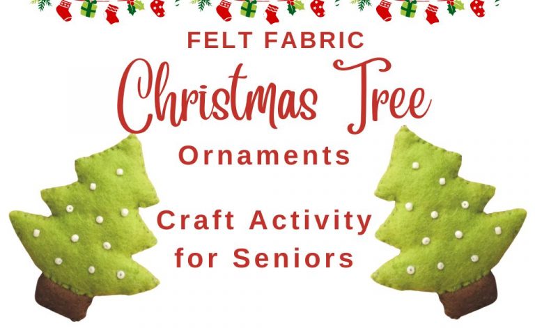 Felt Fabric Christmas Ornaments Craft Activity for Seniors