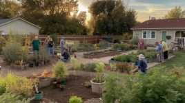 Benefits of Gardening for Seniors | How to Start