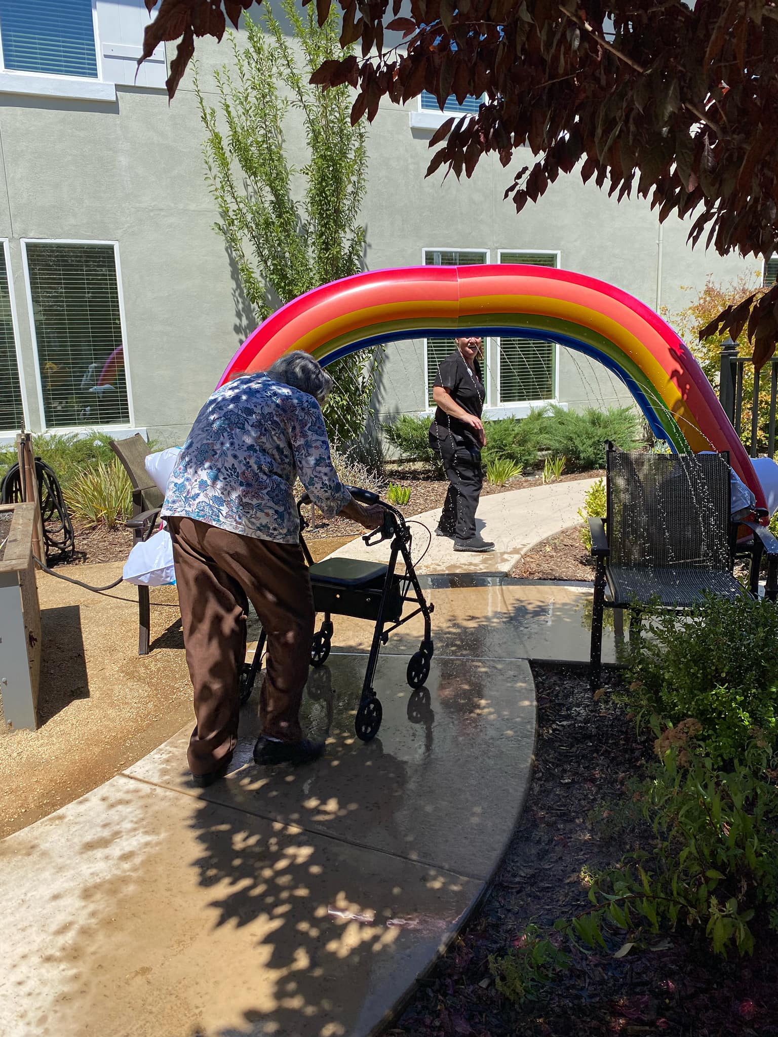 Wheelchair and Walker Carwash Activity for Seniors in Aged Care