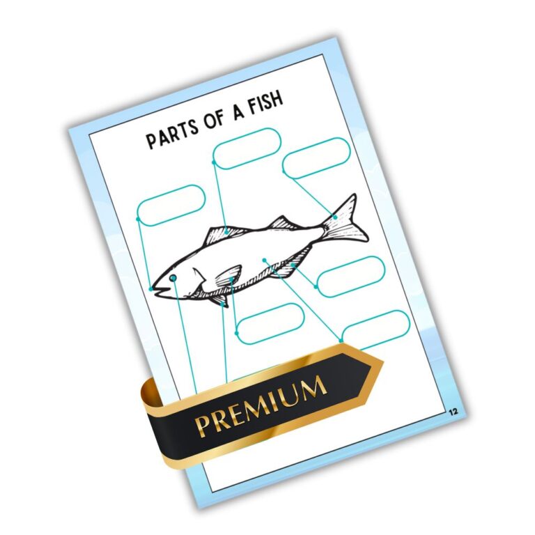 Fishing Activity Book for Seniors - Memory Lane Therapy